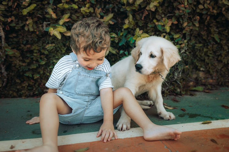 How to Introduce Dogs to Young Children Safely – Dog Nation