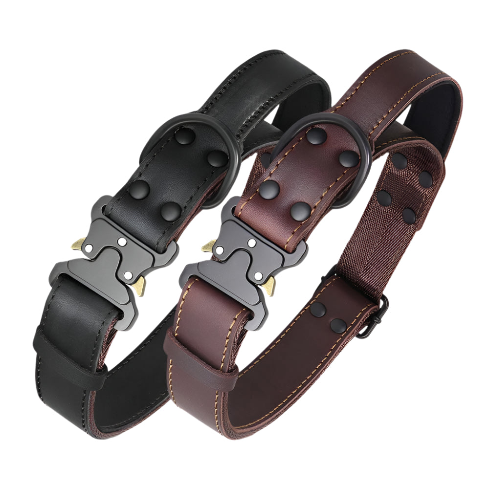 Draco Genuine Leather Dog Collar With Handle – Dog Nation