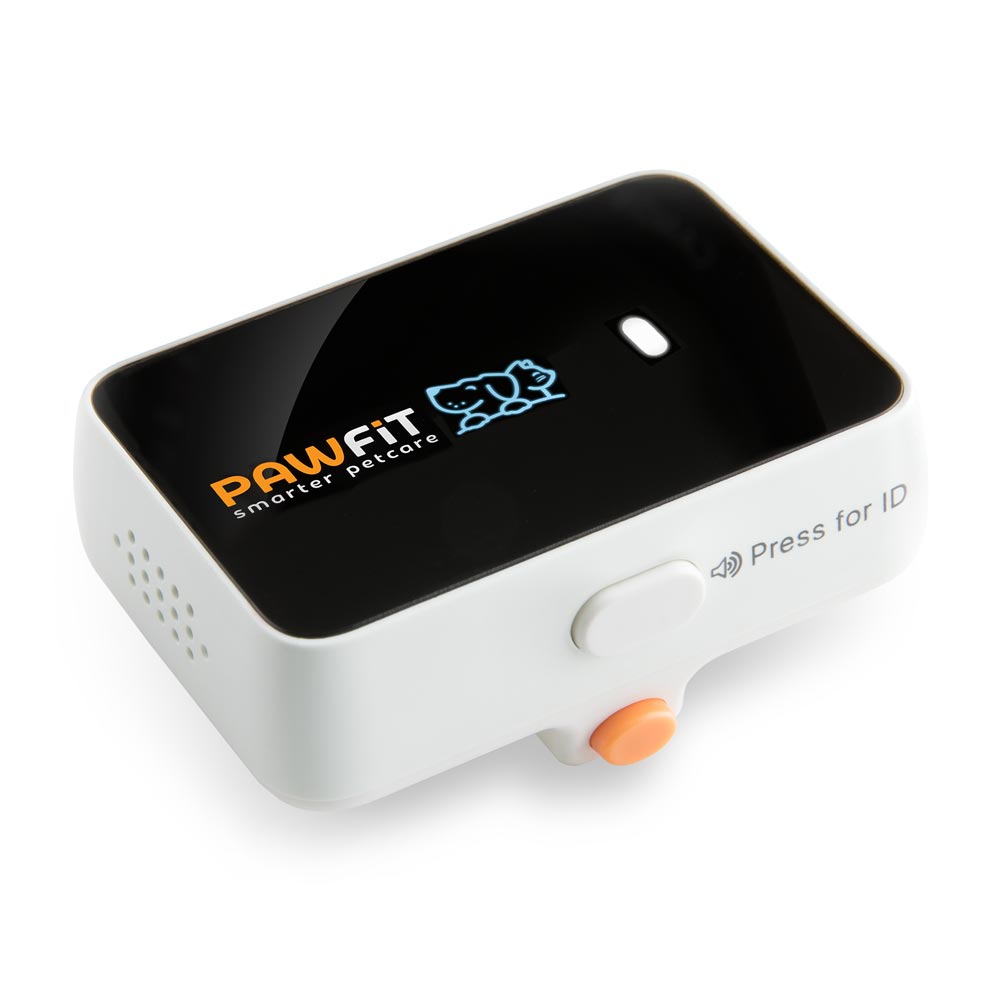 Pet GPS Tracker Pawfit 3 - The Best in Australia – Dog Nation