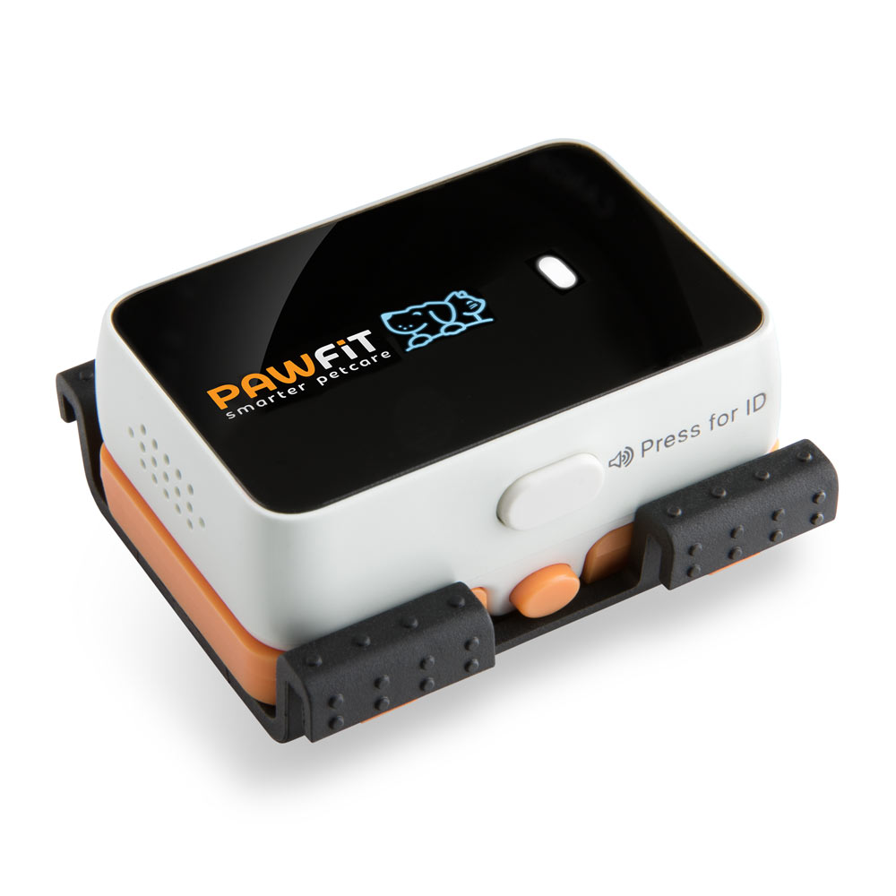 Pet GPS Tracker Pawfit 3 - The Best in Australia – Dog Nation