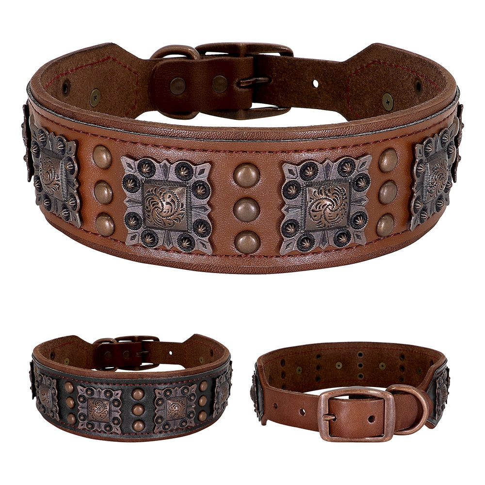 Canis Wide Rivets Decorated Genuine Leather Dog Collar – Dog Nation