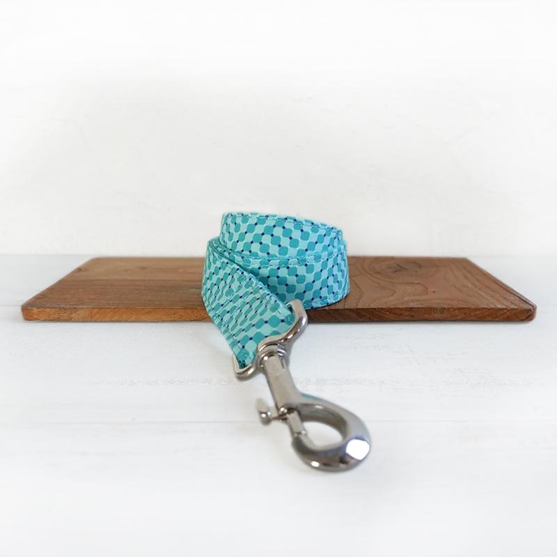 The Water Ripple Dog Leash – Dog Nation