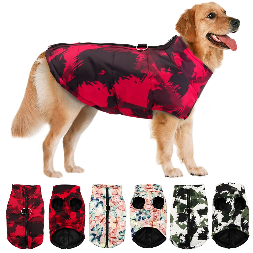 Dog Nation - Products & Supplies For Dogs and Dog Lovers