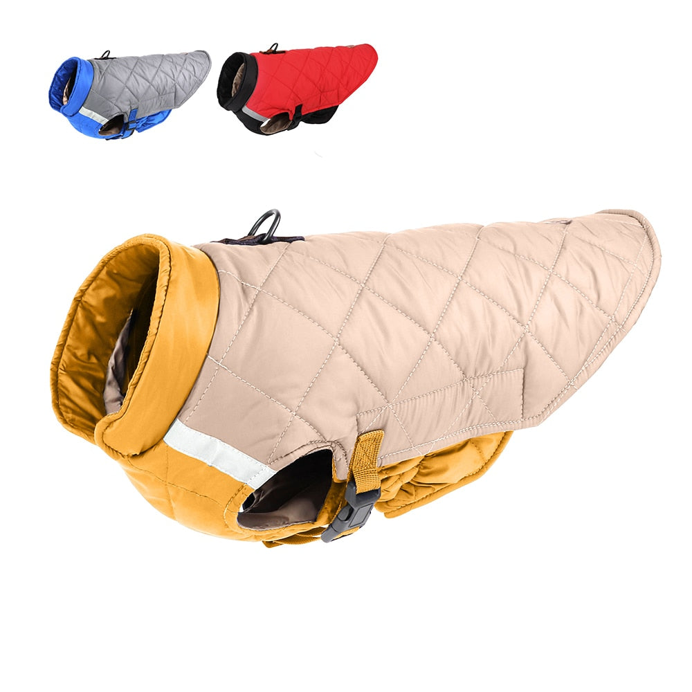 Dog Nation - Products & Supplies For Dogs and Dog Lovers